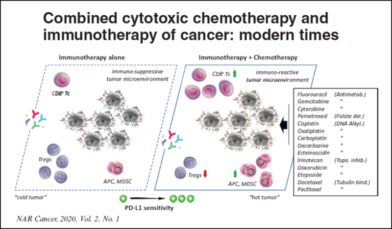 New publication: Combined cytotoxic chemotherapy and immunotherapy of ...